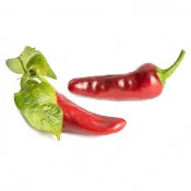 ESPELETTE CHILI LINGOT® | VERITABLE® GARDEN | INDOOR GARDEN