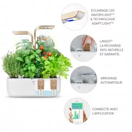 Potagers d'intérieur Véritable® | Toutes nos gammes