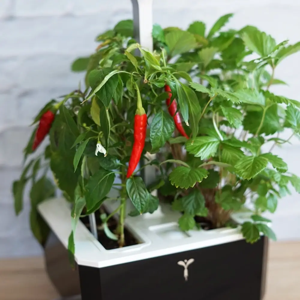 Veritable - Indoor gardens made in France