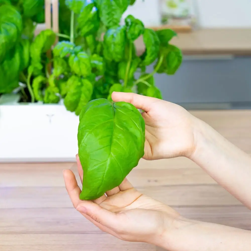 Veritable - Indoor gardens made in France