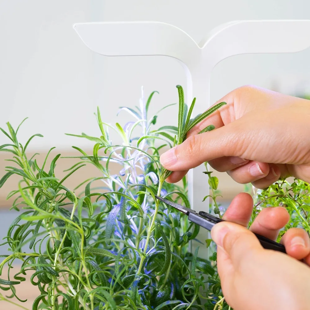 Veritable - Indoor gardens made in France