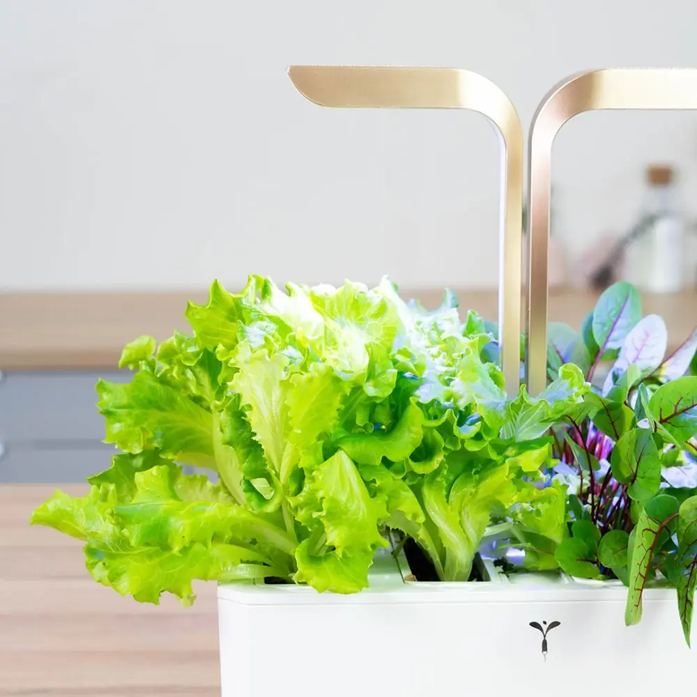 Veritable - Indoor gardens made in France