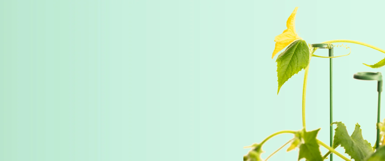 Veritable - Indoor gardens made in France